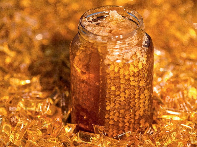 Uma análise do mercado norte-americano para exportação do mel natural ...